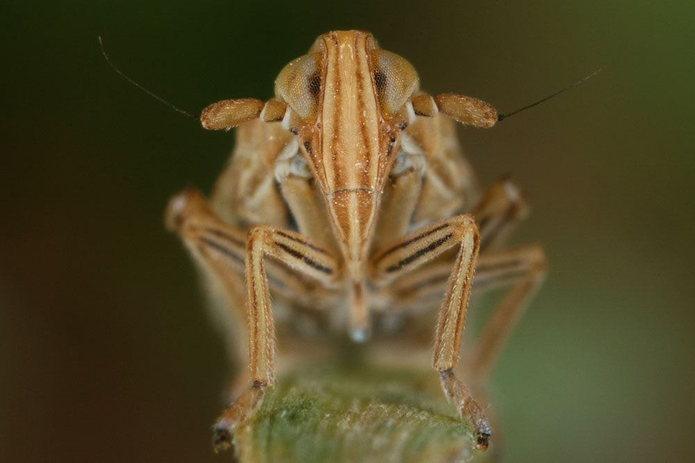 Fotos | Herbert Nickel